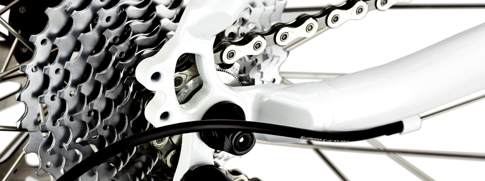 Primera - Co-Motion Cycles